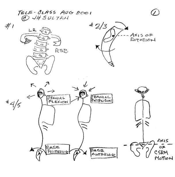 Dorsal Lumbosacral Telecourse: Handouts